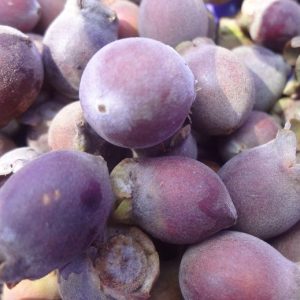 Quả sim rừng Tươi 2025 - Về Liên Tục Hàng Tuyển Chỉ Sim Mật Ngon #1